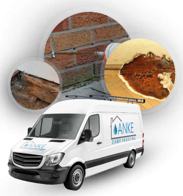 Expert Tips to Dry Out Damp Walls | Anke Damp Proofing