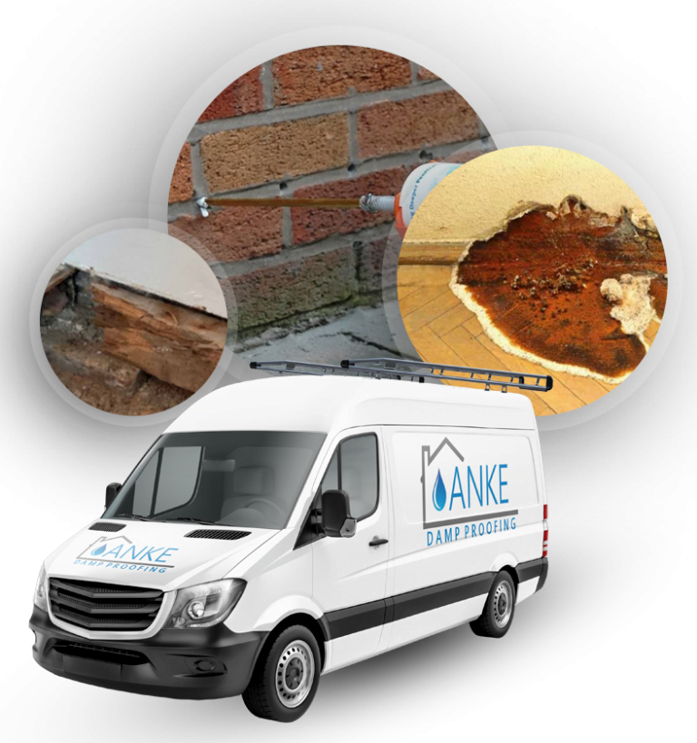 Expert Tips to Dry Out Damp Walls | Anke Damp Proofing
