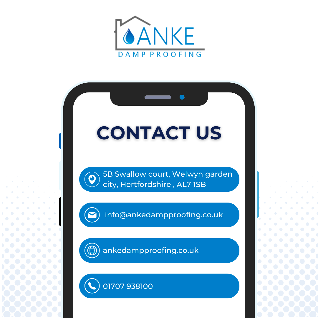 Expert Tips to Dry Out Damp Walls | Anke Damp Proofing