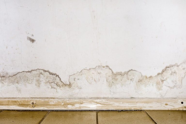 Expert Tips to Dry Out Damp Walls | Anke Damp Proofing